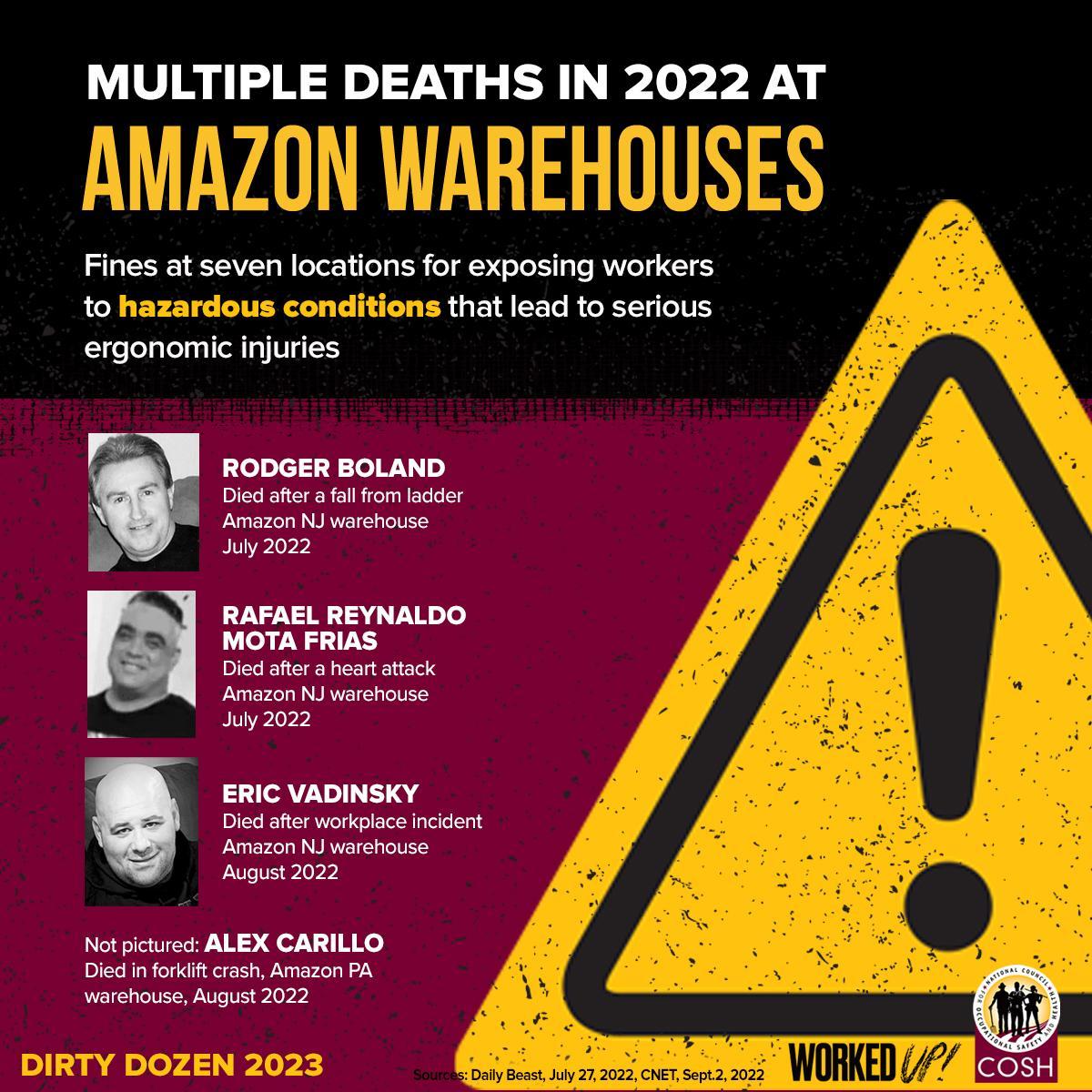 Dirty Dozen Reports | National Council for Occupational Safety and Health