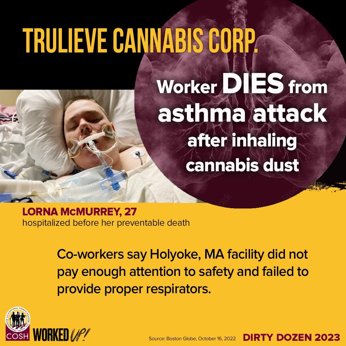 Dirty Dozen Reports | National Council for Occupational Safety and Health