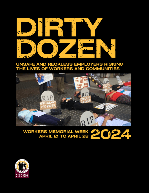 Dirty Dozen Reports | National Council for Occupational Safety and Health
